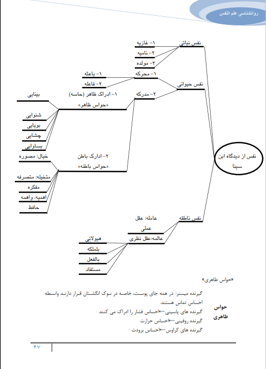 خلاصه کتاب علم النفس از دیدگاه دانشمندان اسلامی احمد هاشمیان